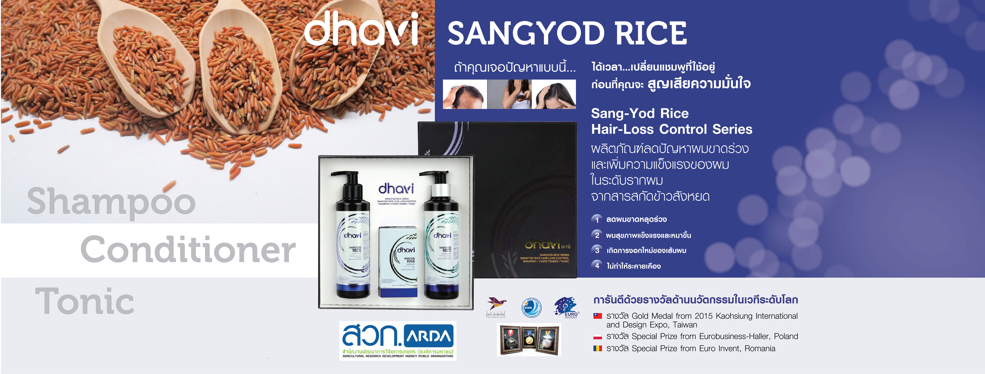 slide04 – DHAVI