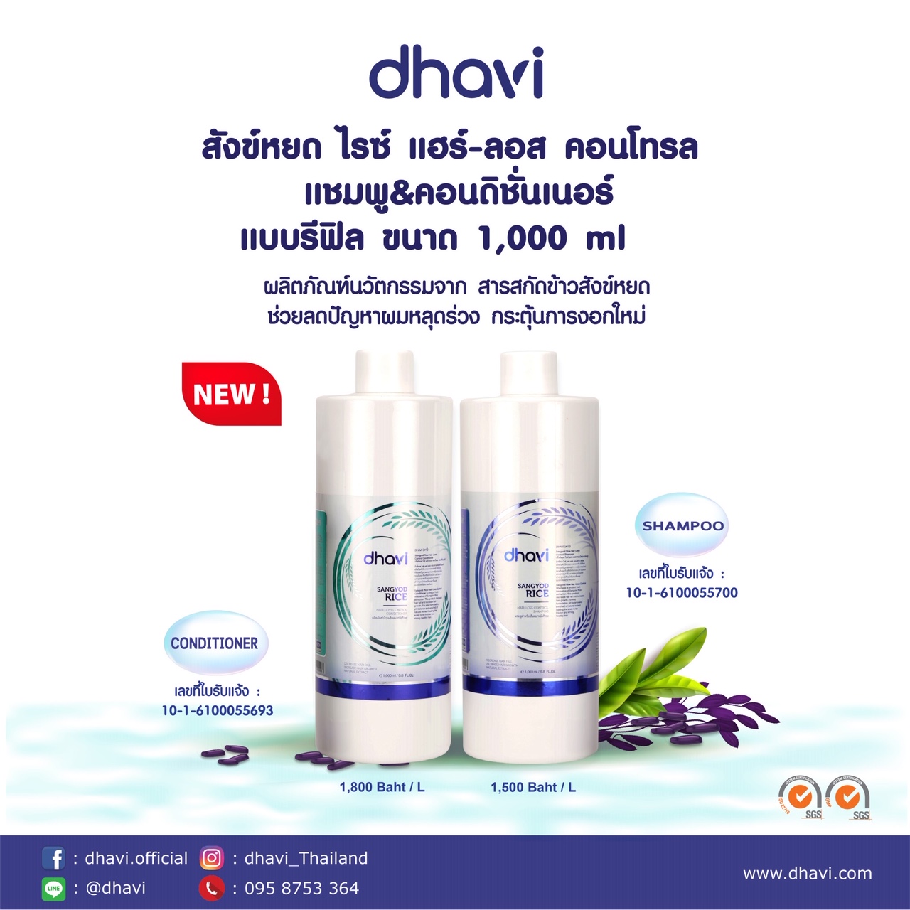 DHAVI – Wisdom of beauty