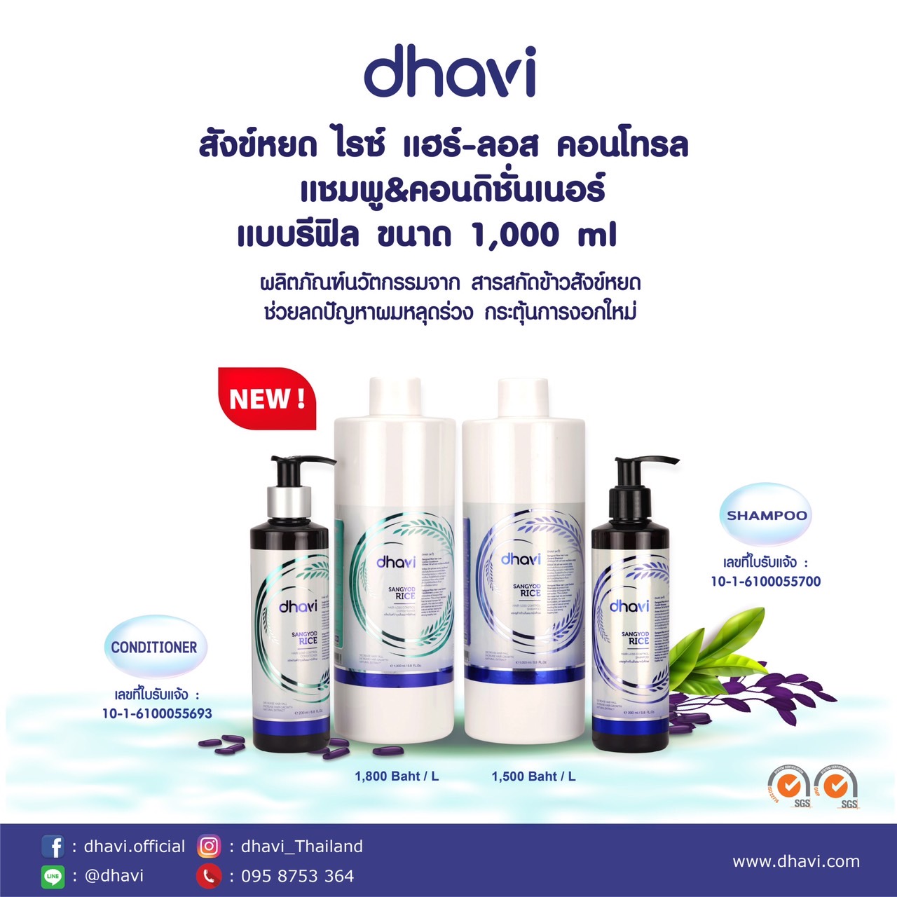 DHAVI – Wisdom of beauty